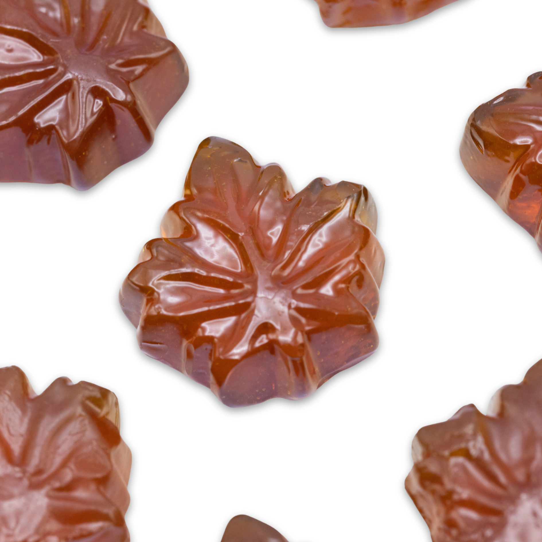 Maple Drops – Twin Leaf Farms